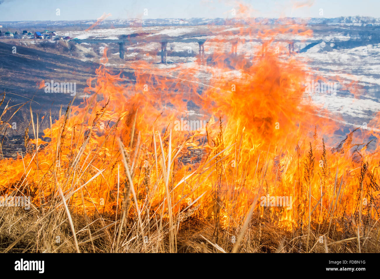 Wild grass on fire Stock Photo - Alamy