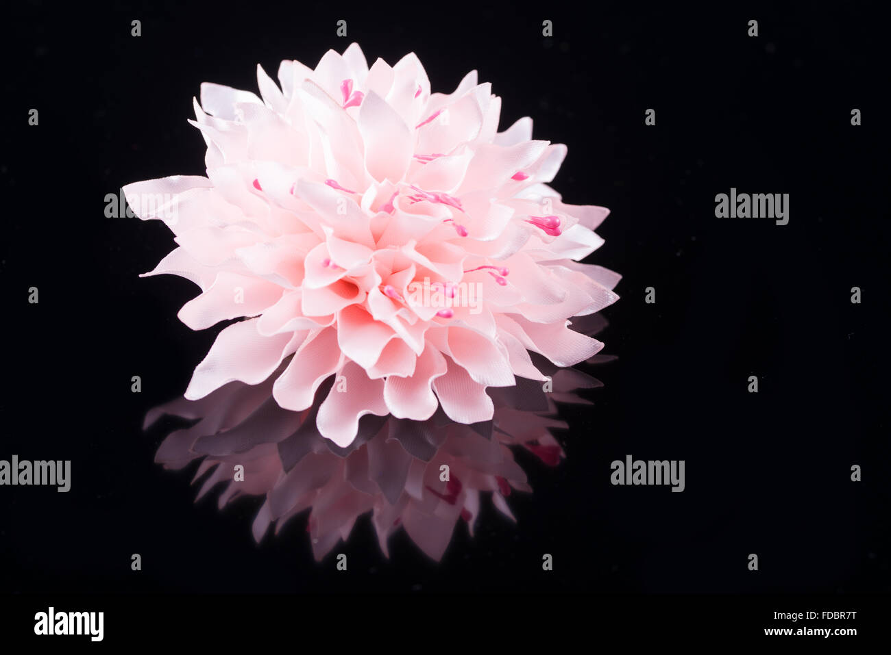 Pink hair band hi-res stock photography and images - Alamy