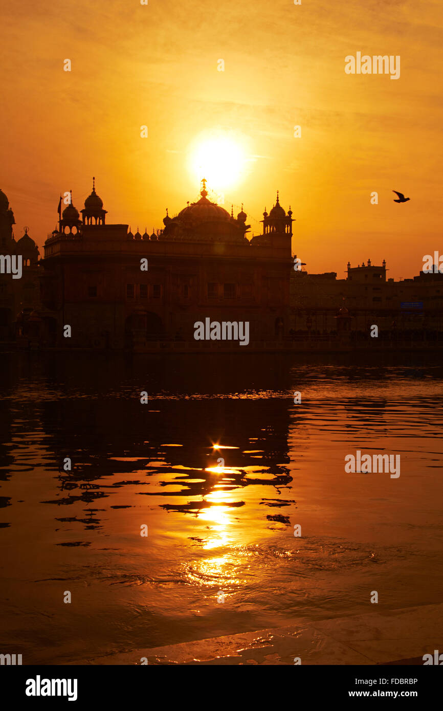 Golden temple amritsar sunset hi-res stock photography and images - Alamy