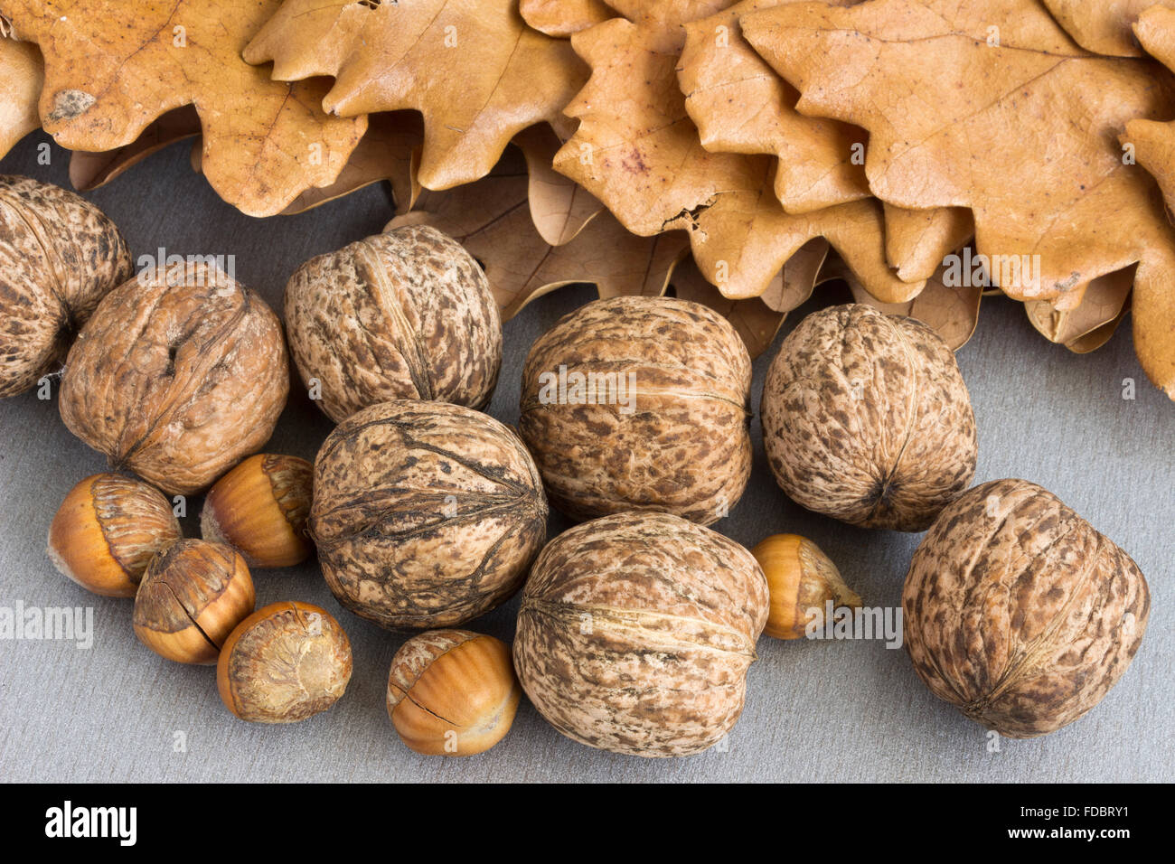 Walnuts and hazelnuts Stock Photo - Alamy
