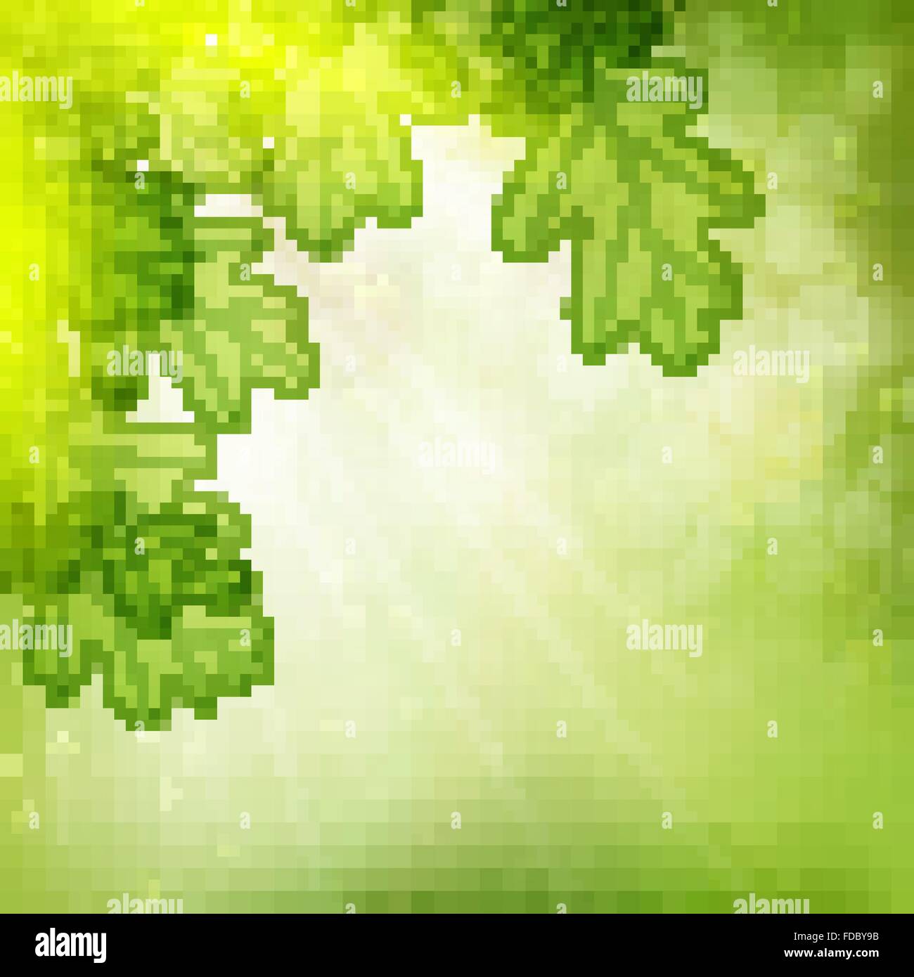 Green bud in sun Stock Vector Images - Alamy