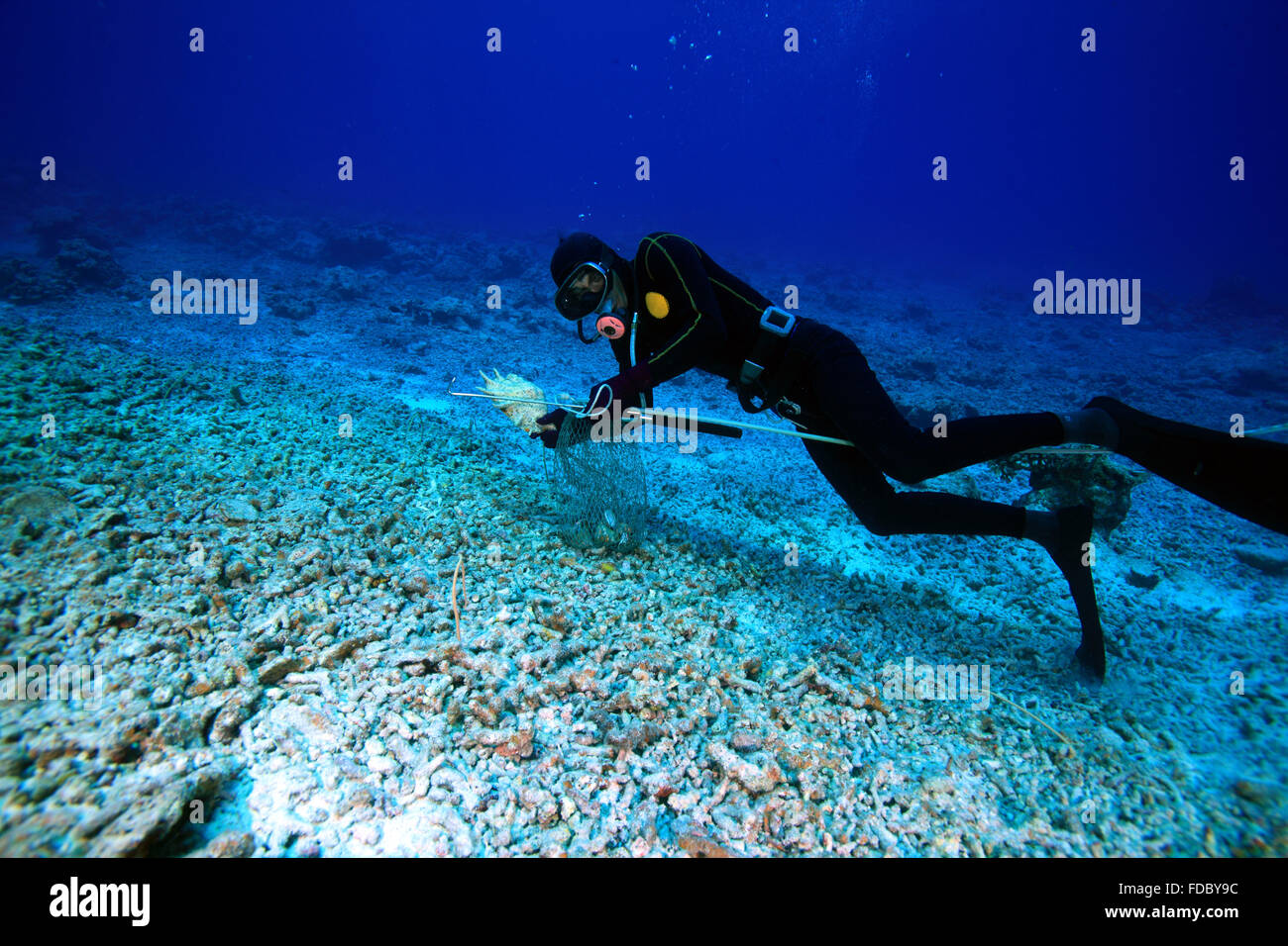 China Hainan province Sansha City Paracel Islands Bombay Reef marine ...