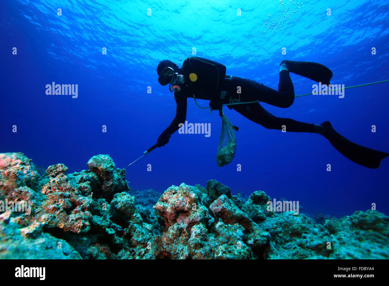 China Hainan province Sansha City Paracel Islands Bombay Reef marine ...