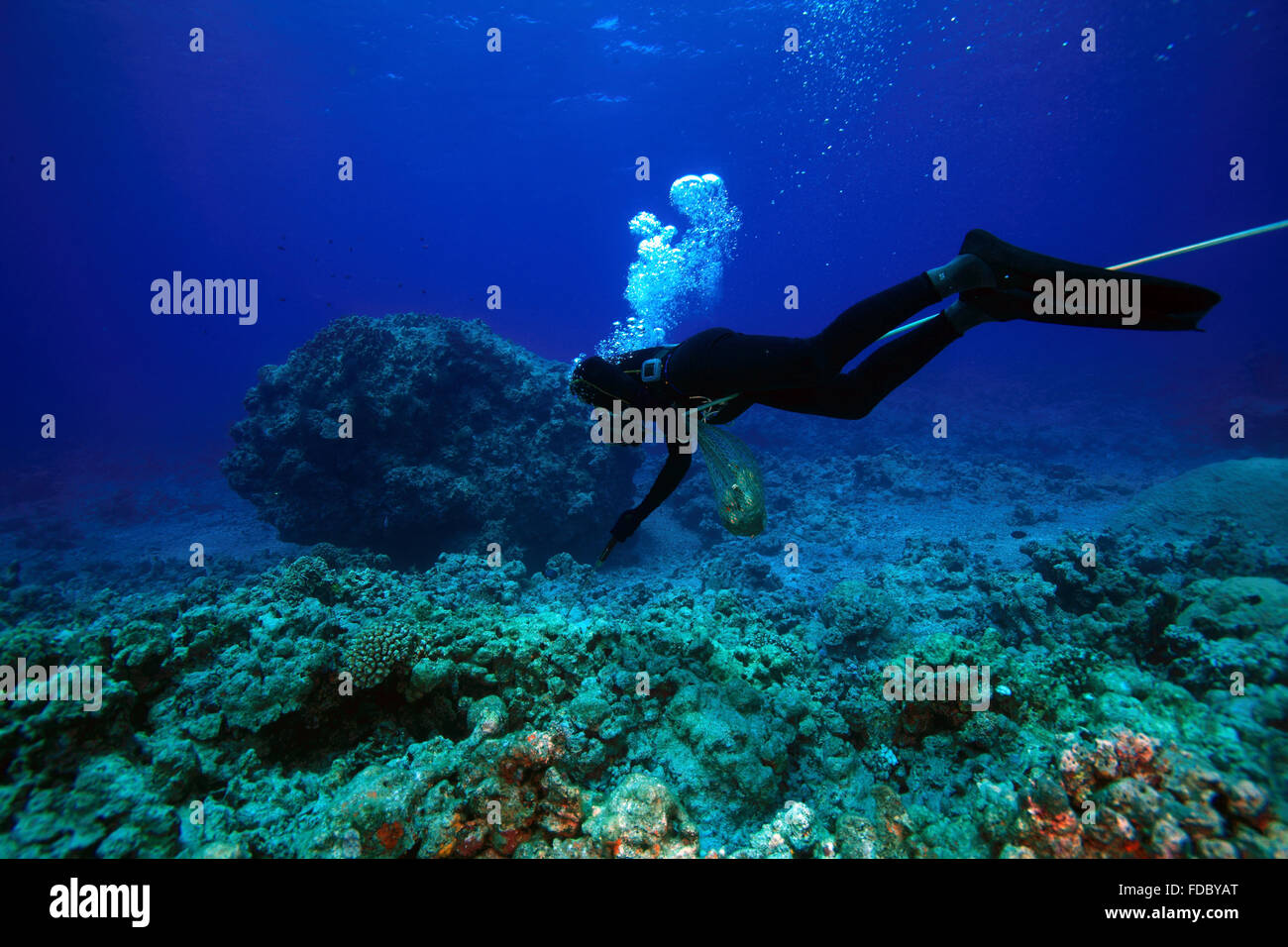 China Hainan province Sansha City Paracel Islands Bombay Reef marine ...