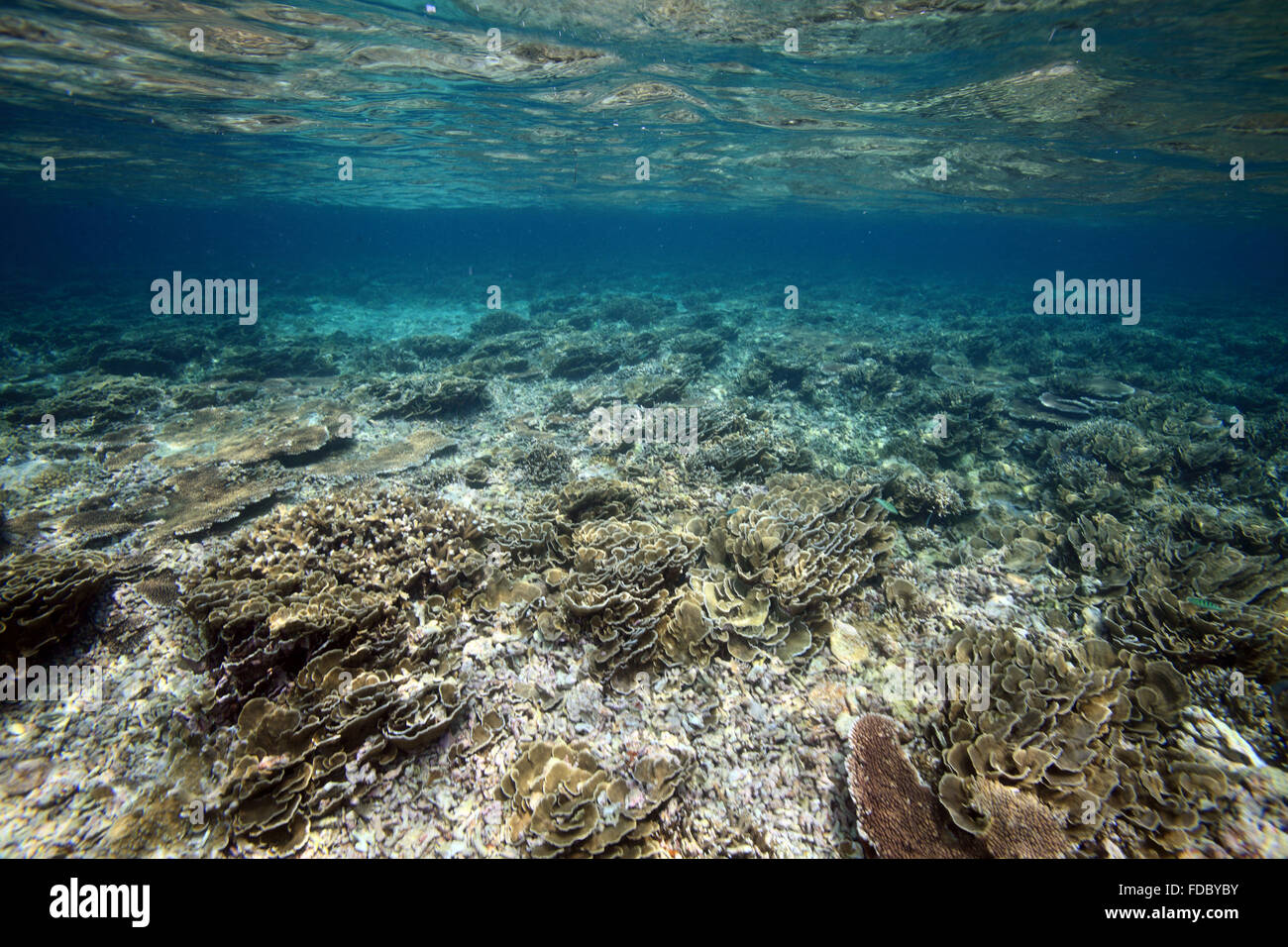 Paracel Islands Stock Photos & Paracel Islands Stock Images - Alamy