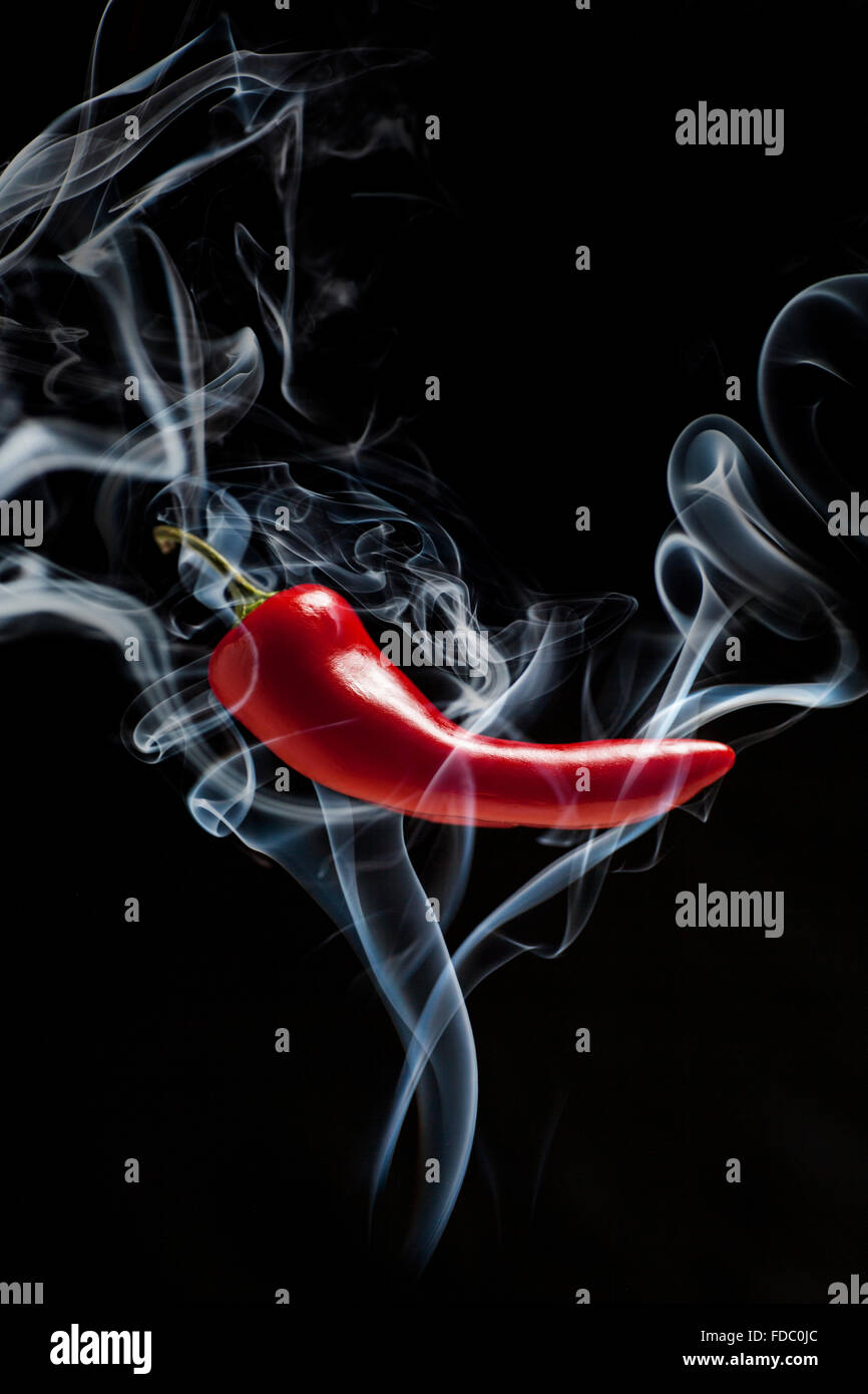 Spicy red chili isolated on a dark background with plenty of copy space ...