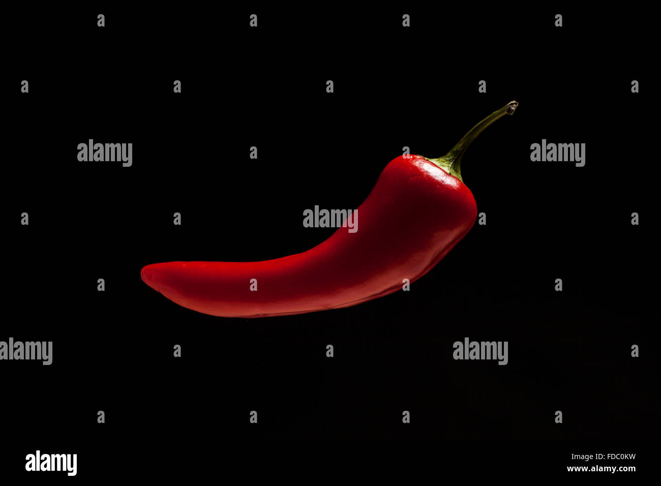 Spicy red chili isolated on a dark background with plenty of copy space ...