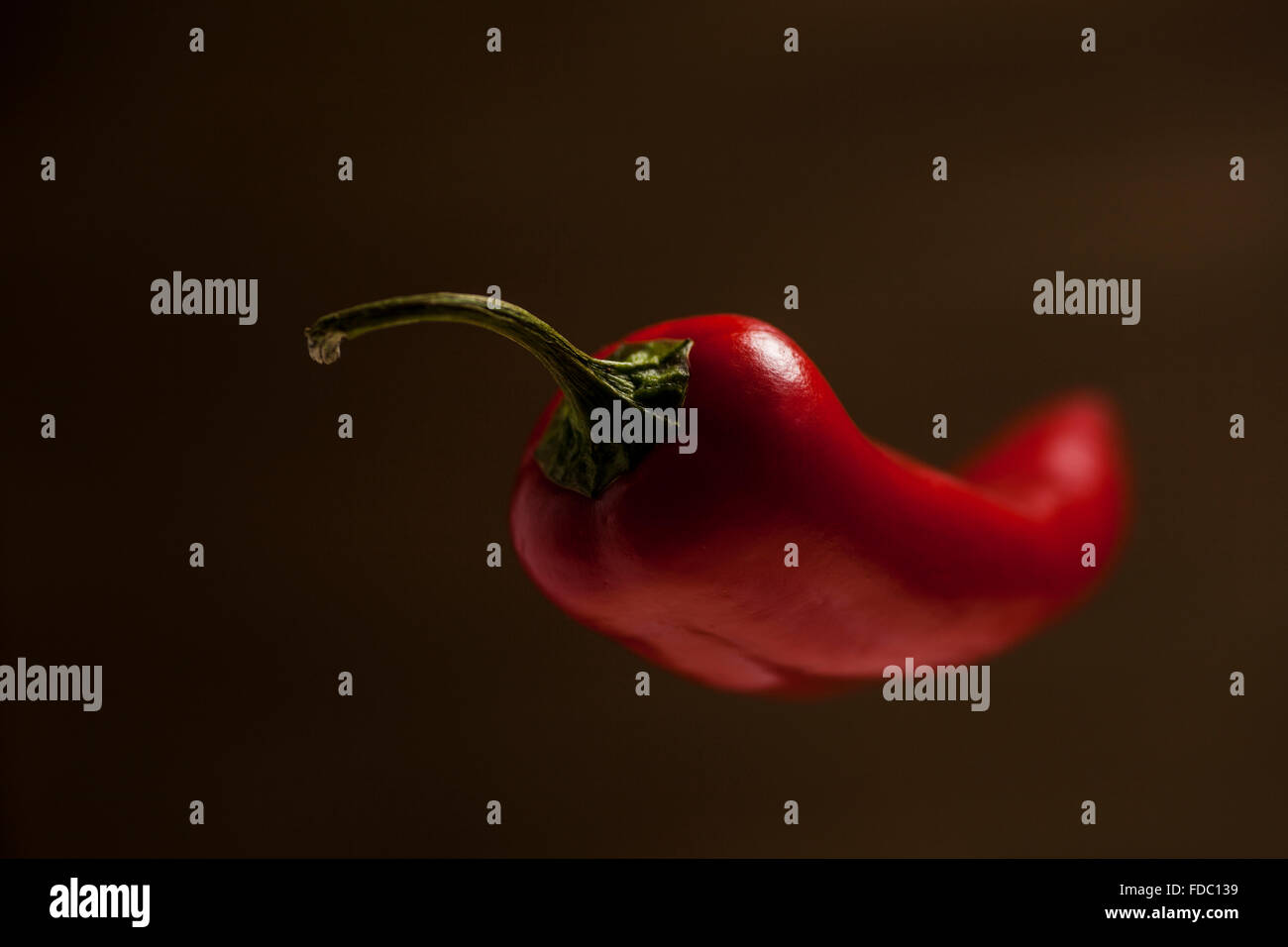 Spicy red chili isolated on a dark background with plenty of copy space ...