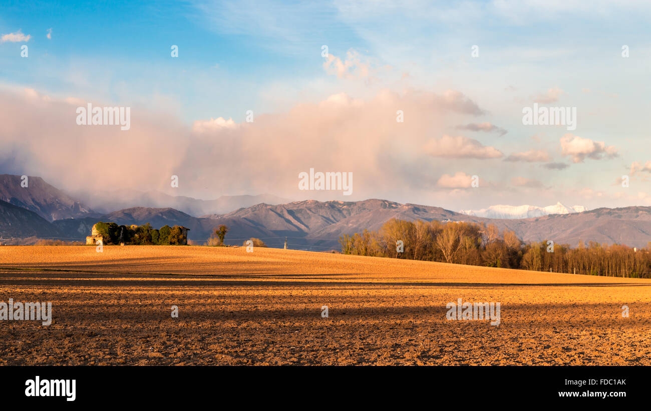 an abandoned and ruined farm in the fields of Italy Stock Photo - Alamy