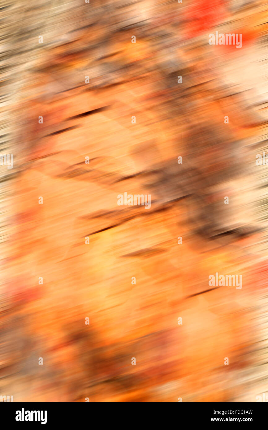 barck in the abstract close up of a tree color and texture Stock Photo ...