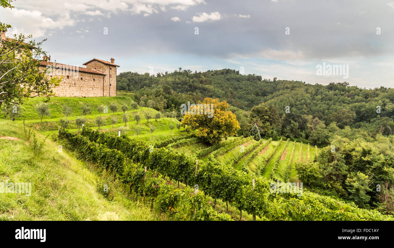 an abandoned and ruined farm in the fields of Italy Stock Photo - Alamy