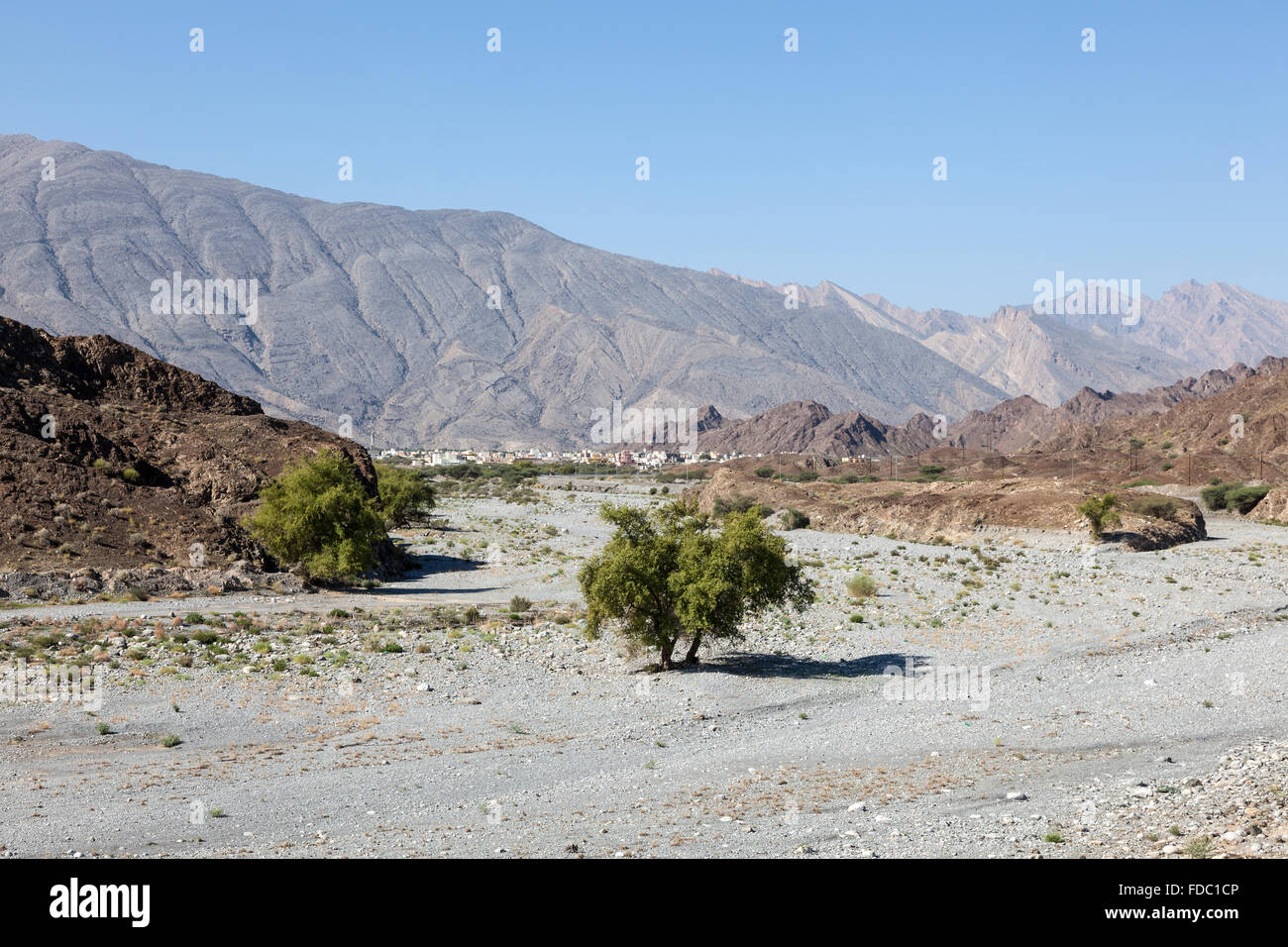 Wadi in Oman, Middle East Stock Photo - Alamy