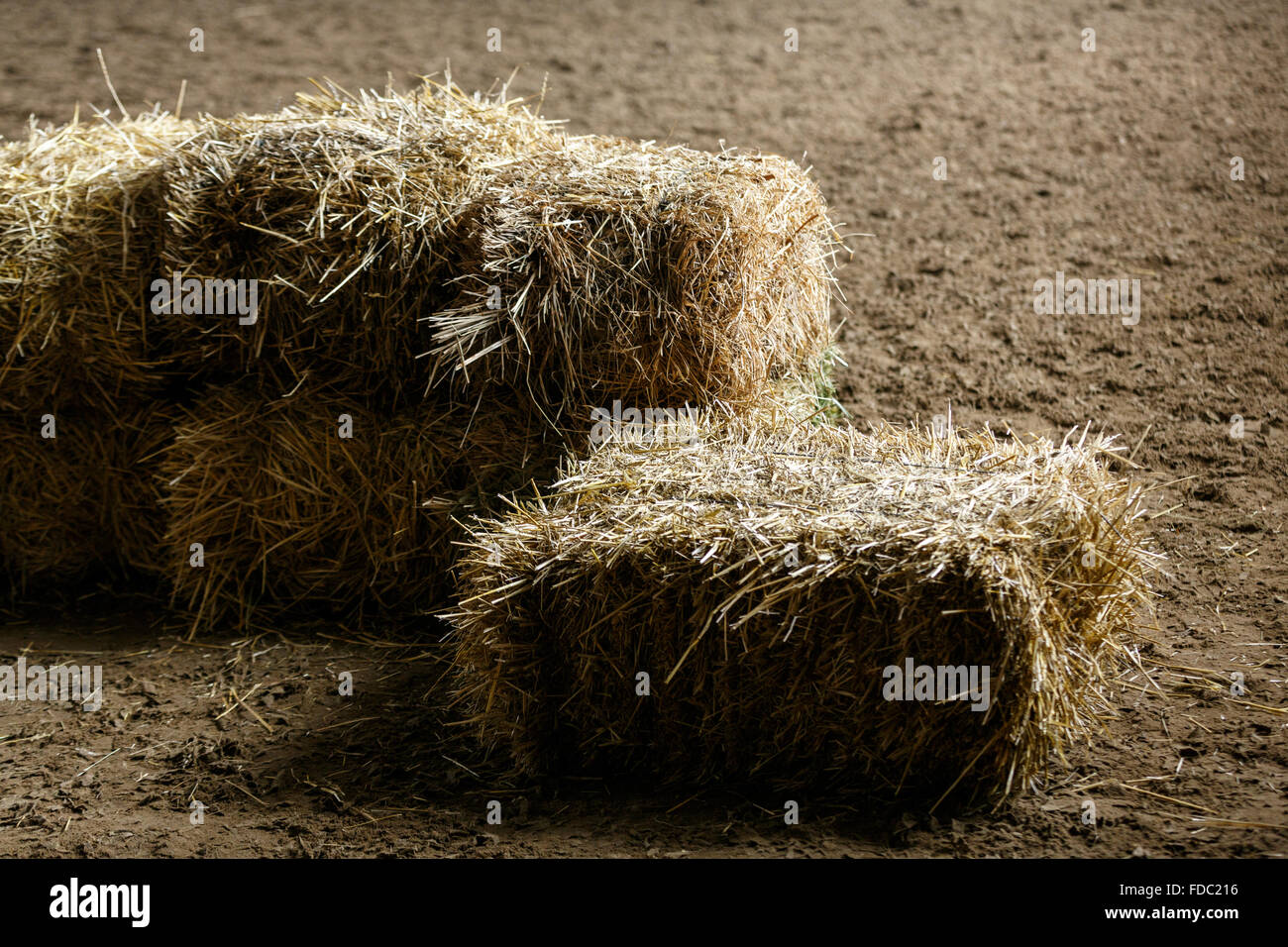 Bricks of fresh hay on a manege for horse dressage Stock Photo - Alamy