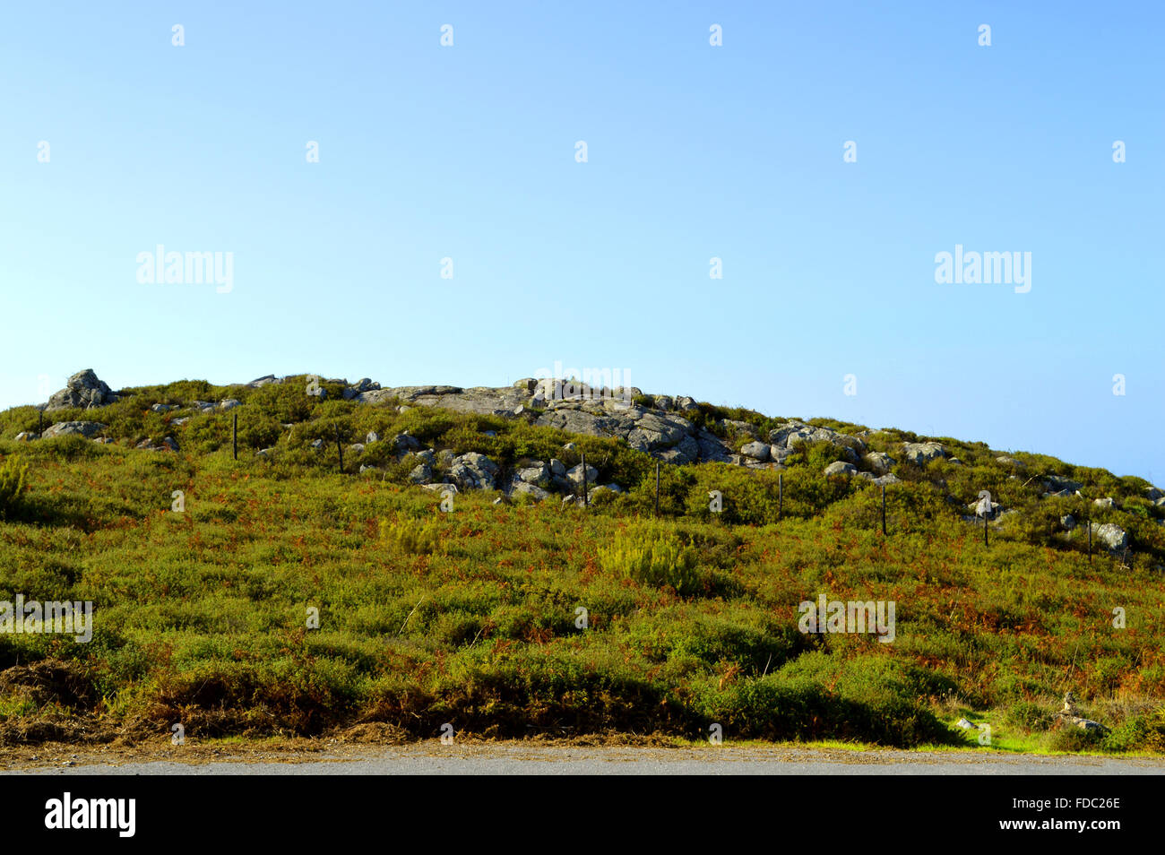 Foia mountain hi-res stock photography and images - Alamy