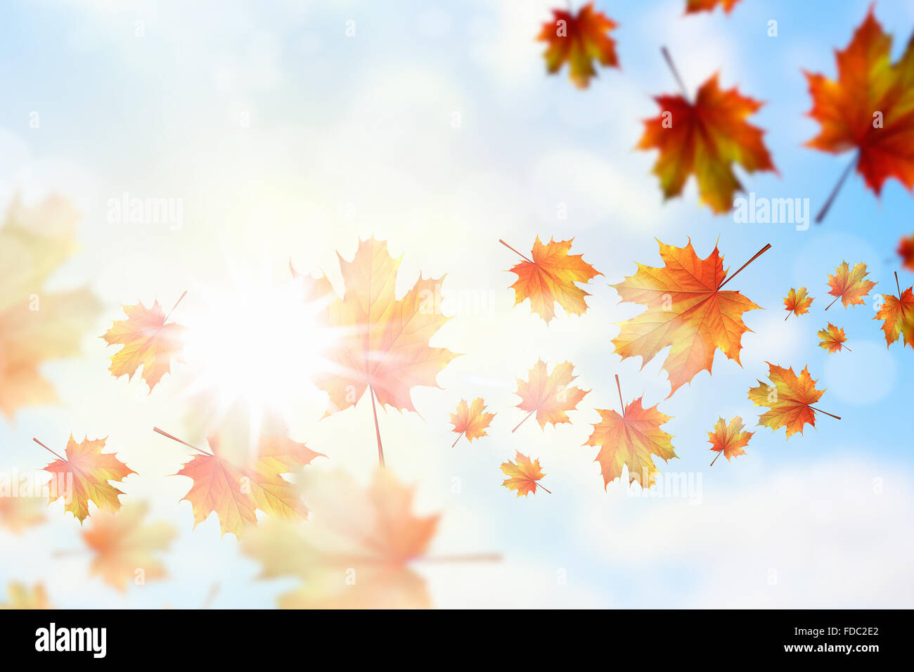 Conceptual image with colorful leaves flying in air Stock Photo - Alamy