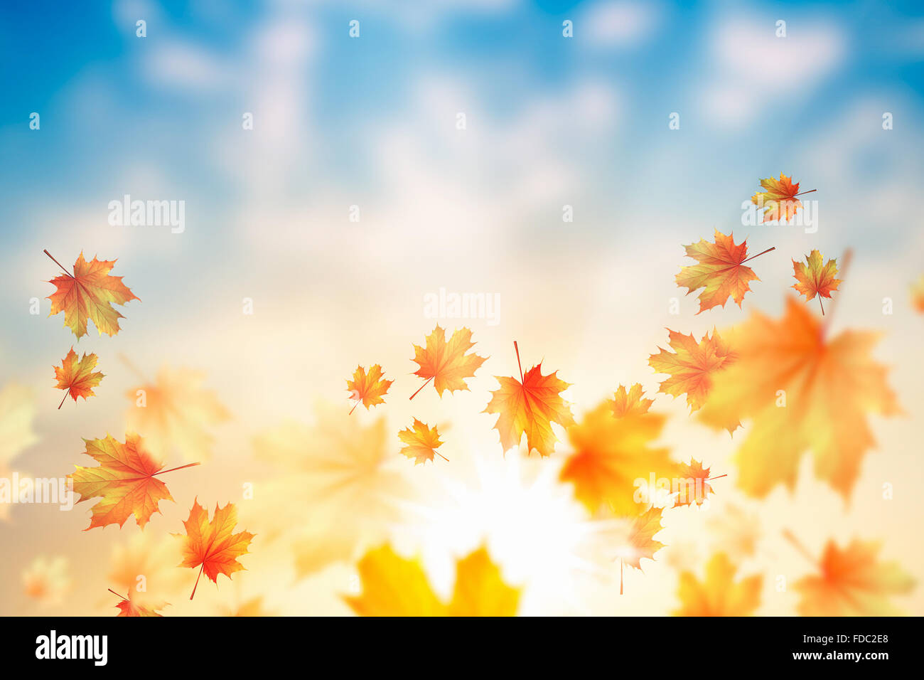 Maple leaves flying in sun hi-res stock photography and images - Alamy
