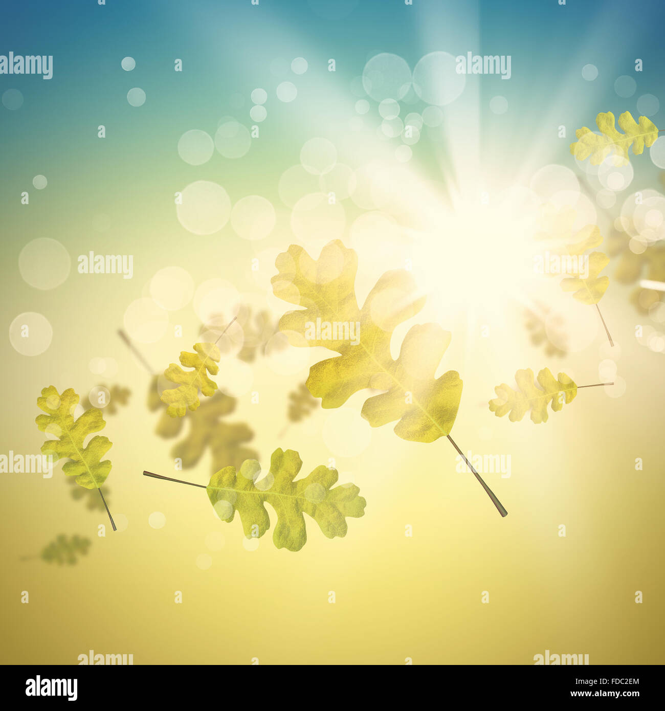 Maple leaves flying in sun hi-res stock photography and images - Alamy