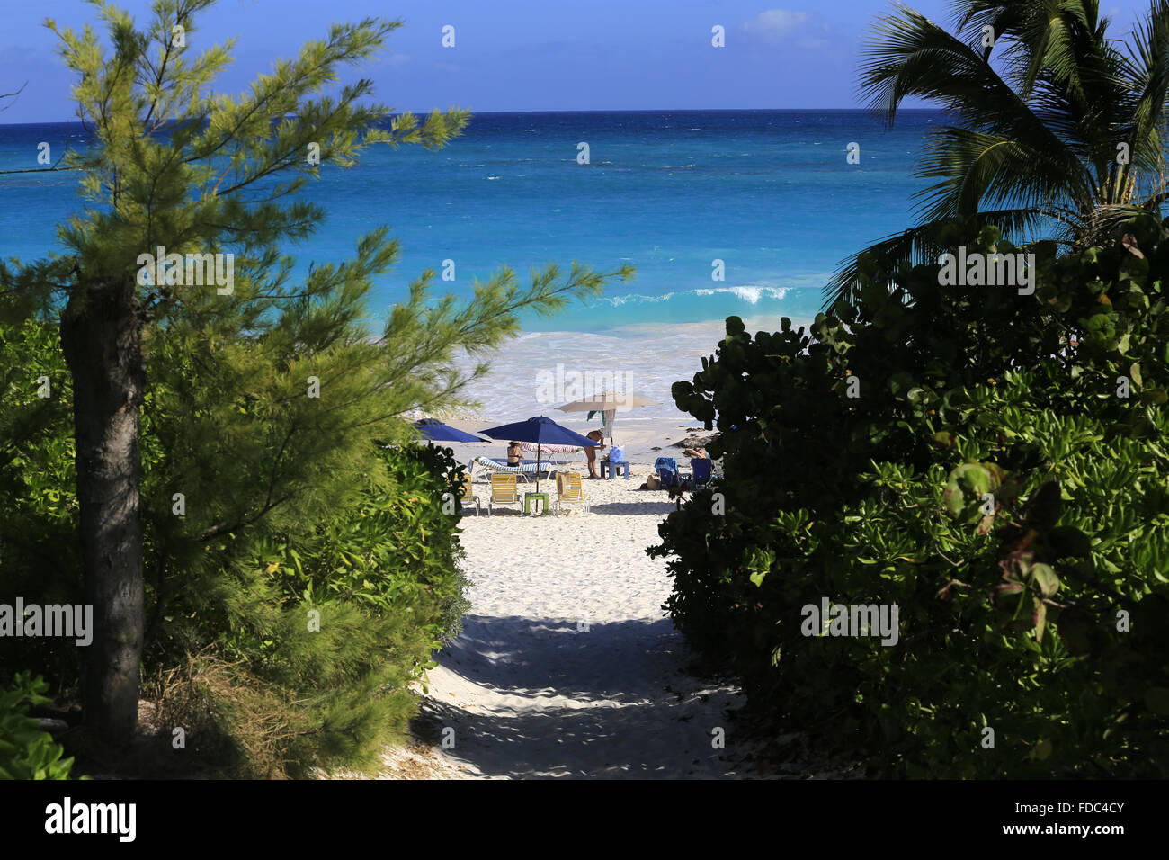North America the Bahamas Island Paradise Stock Photo - Alamy