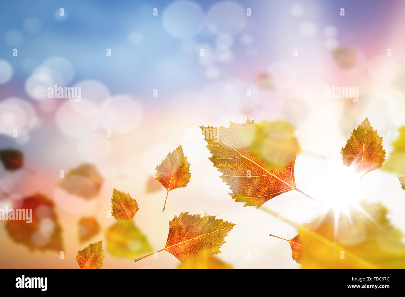 Background image with autumn leaves. Place for text Stock Photo - Alamy