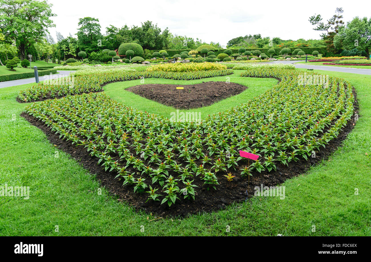 Heart-shaped flower garden in the park Stock Photo - Alamy