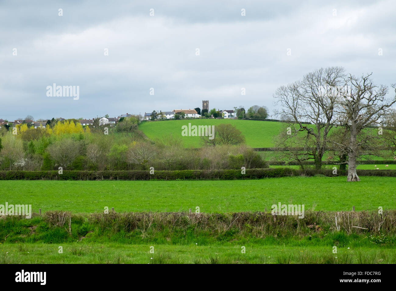 The hilltop village of Coledridge, Devon, England, UK Stock Photo - Alamy