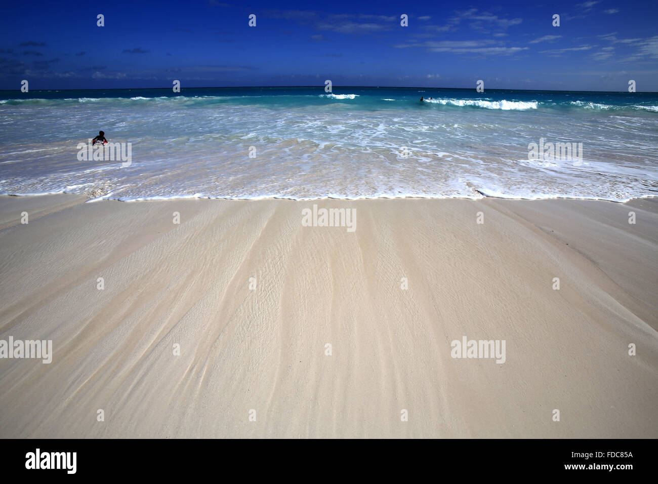 North America the Bahamas Island Paradise sand beach Stock Photo - Alamy