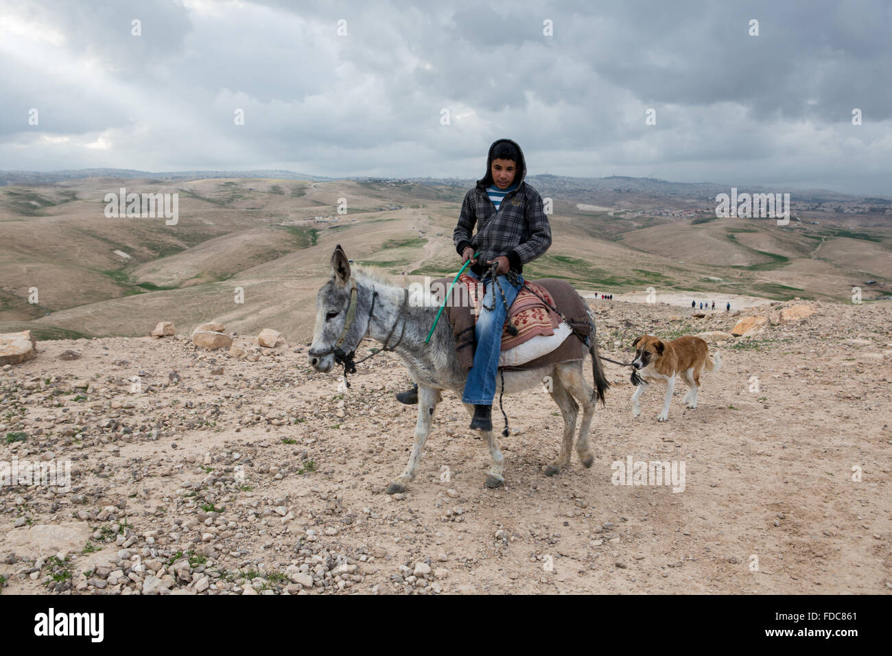 A mule and a boy in Israeli mountains in spring Stock Photo - Alamy