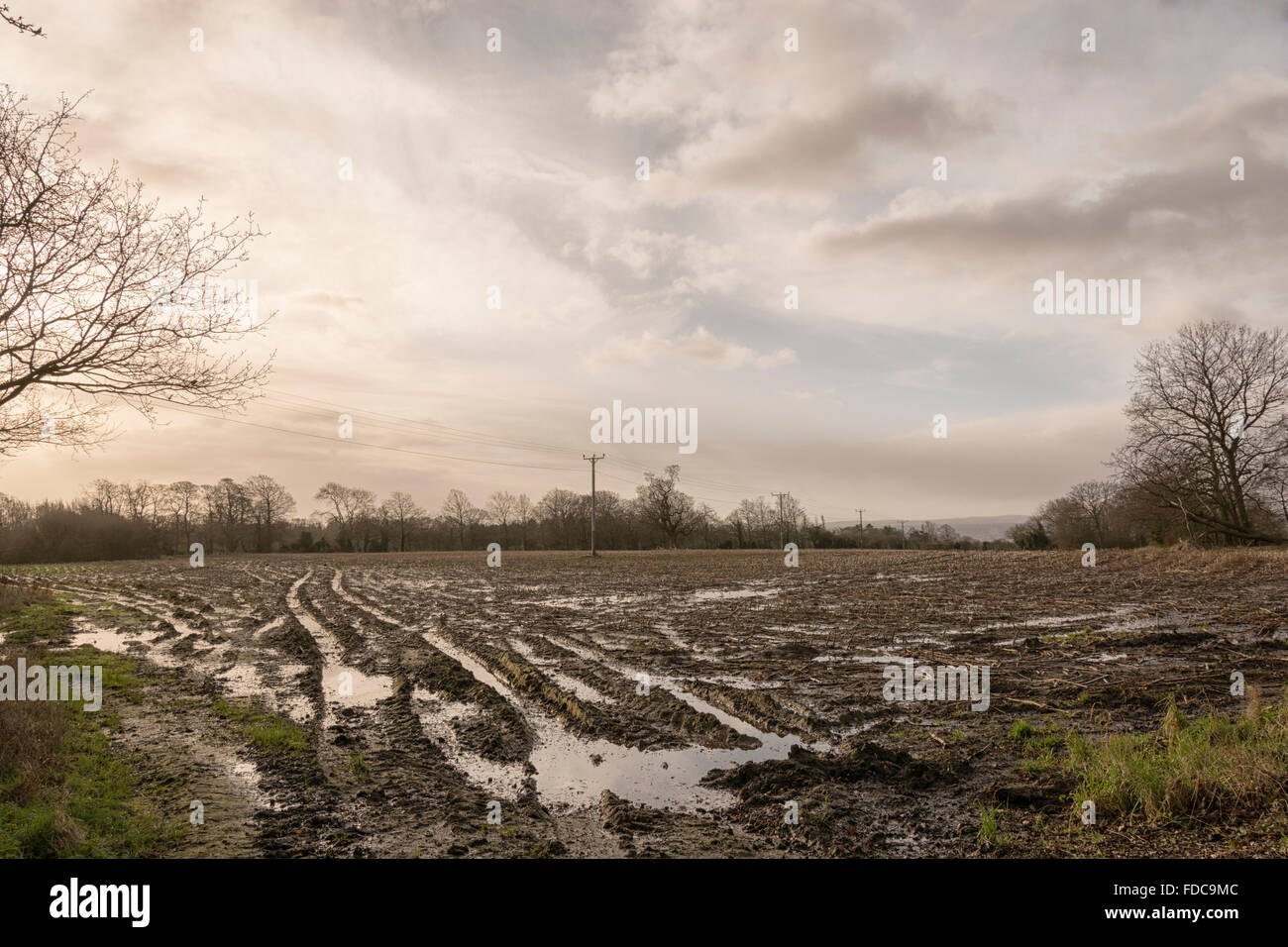 Logged land hi-res stock photography and images - Alamy