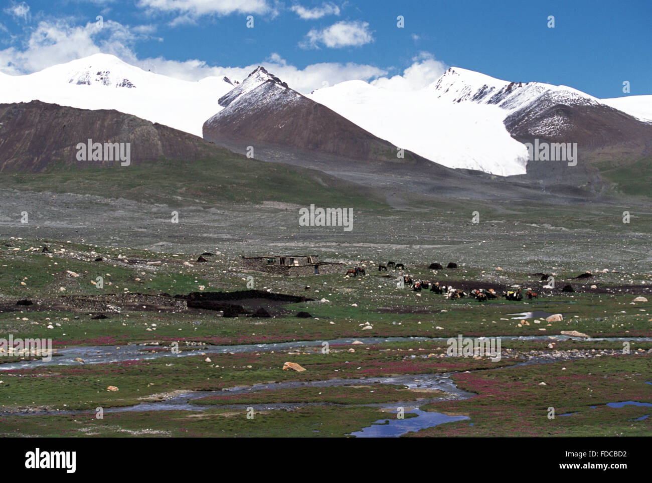 Qinghai Province Yushu Autonomous Prefecture Hoh Xil Yangtze River ...
