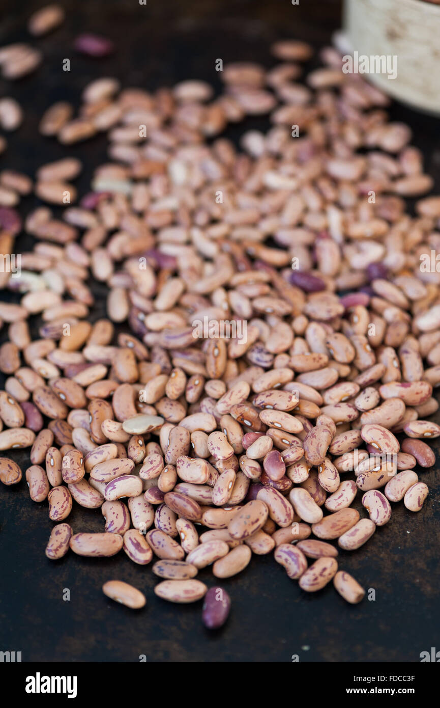 Big size beans hi-res stock photography and images - Alamy