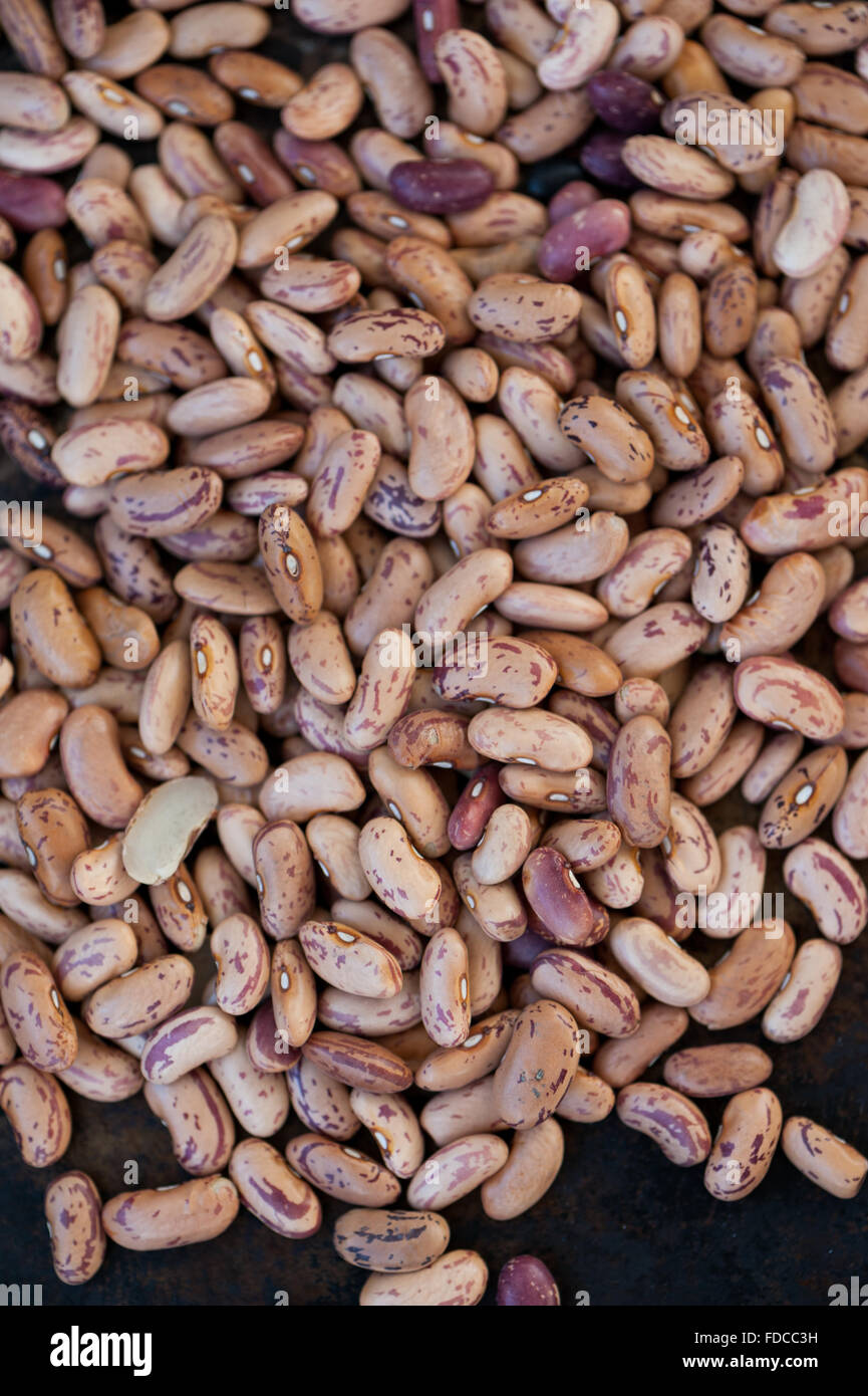 Big size beans hi-res stock photography and images - Alamy