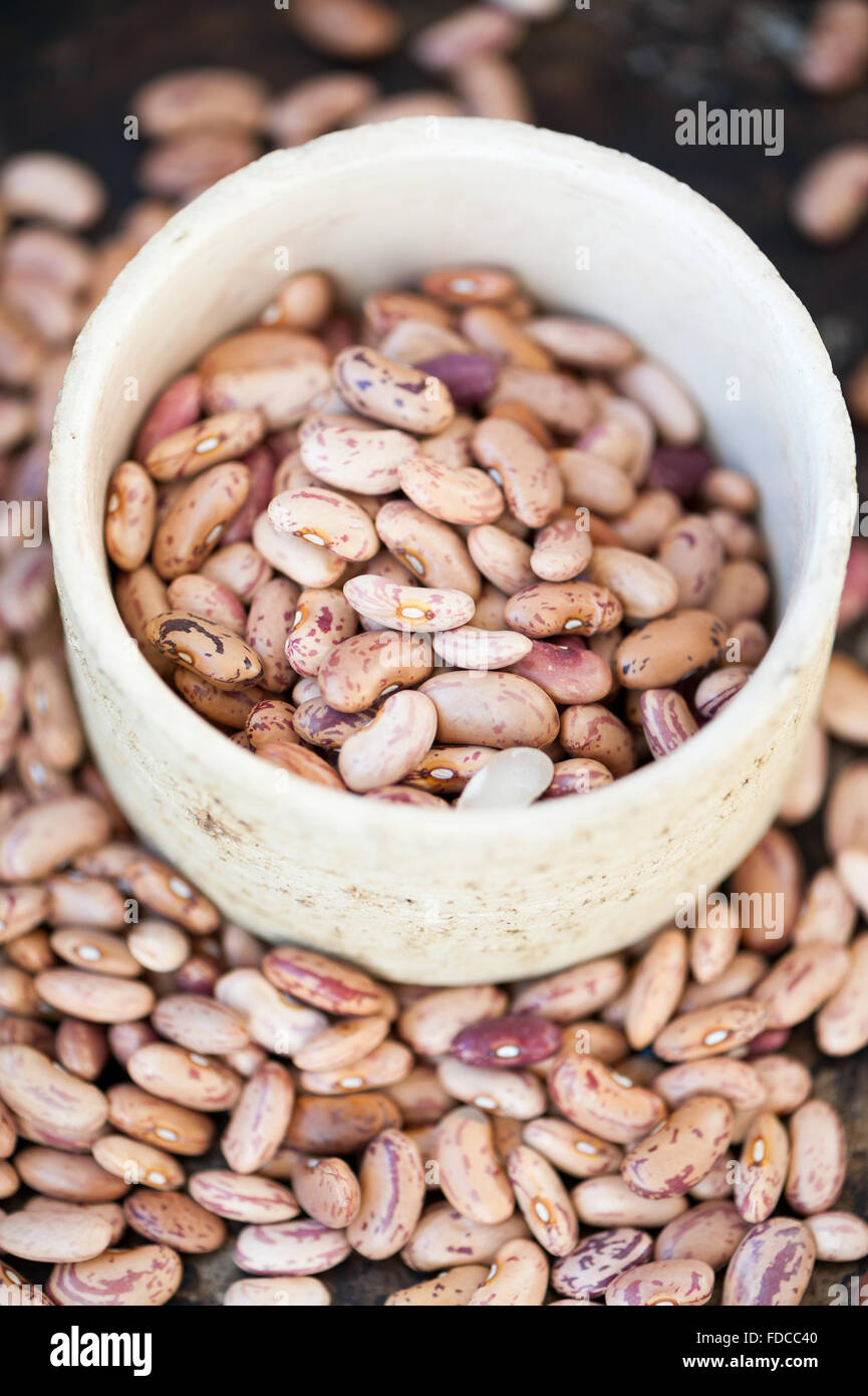 Big size beans hi-res stock photography and images - Alamy