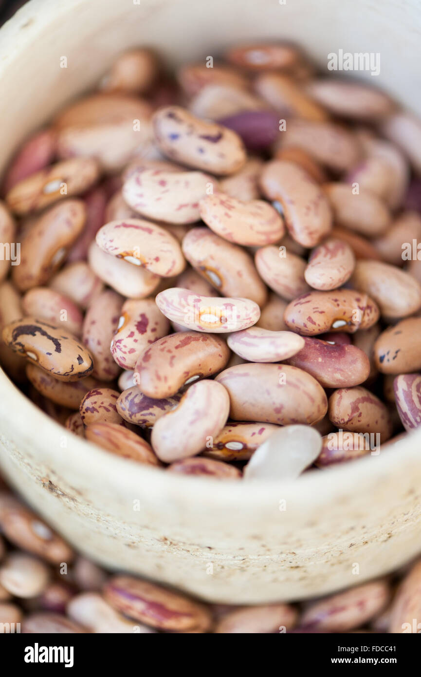 Big size beans hi-res stock photography and images - Alamy