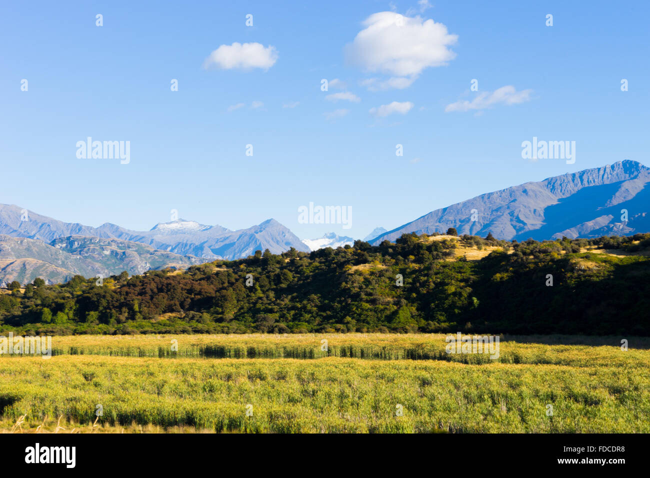 Natural landscape of New Zealand alps and field Stock Photo - Alamy