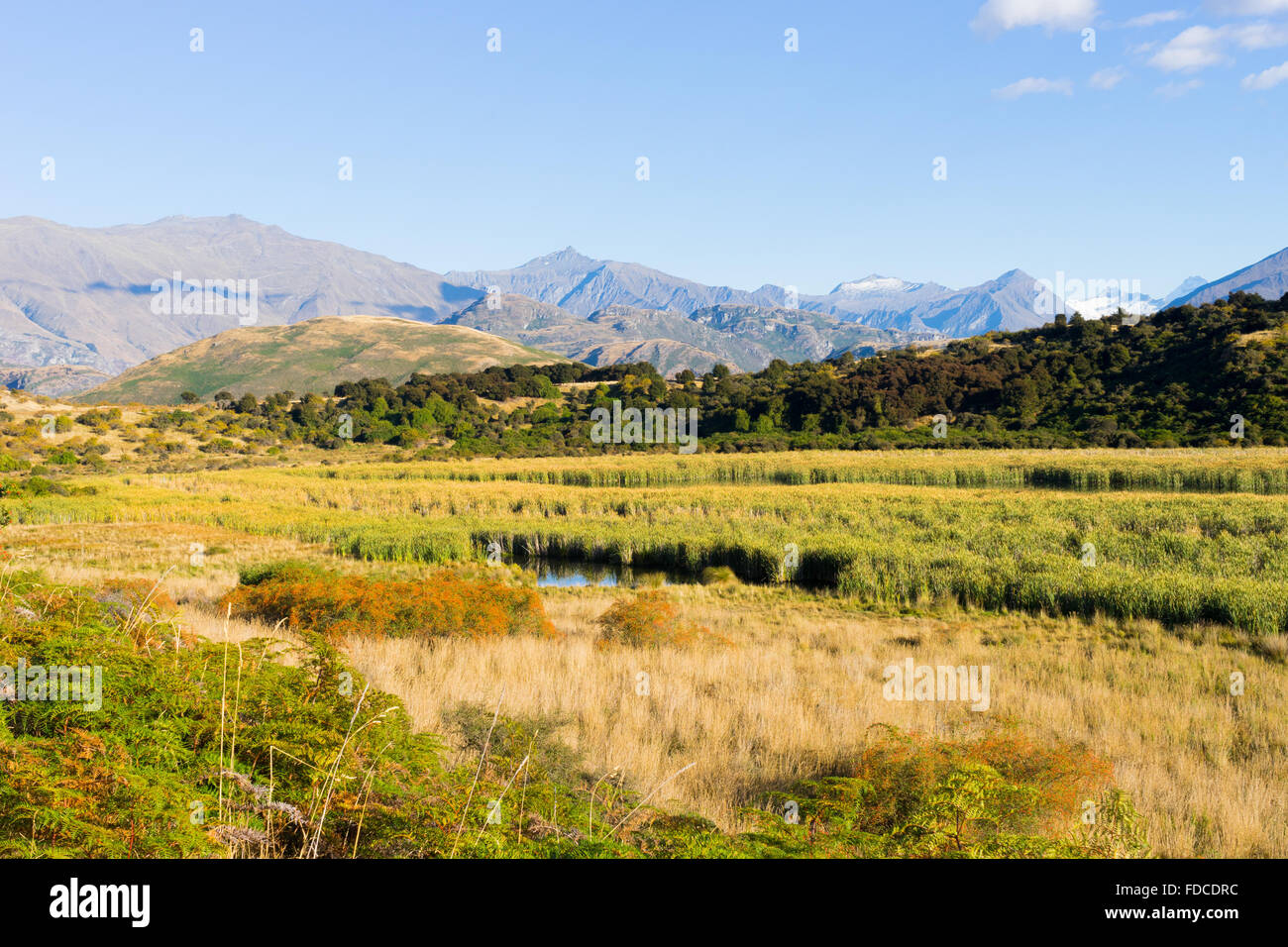 Natural landscape of New Zealand alps and field Stock Photo - Alamy