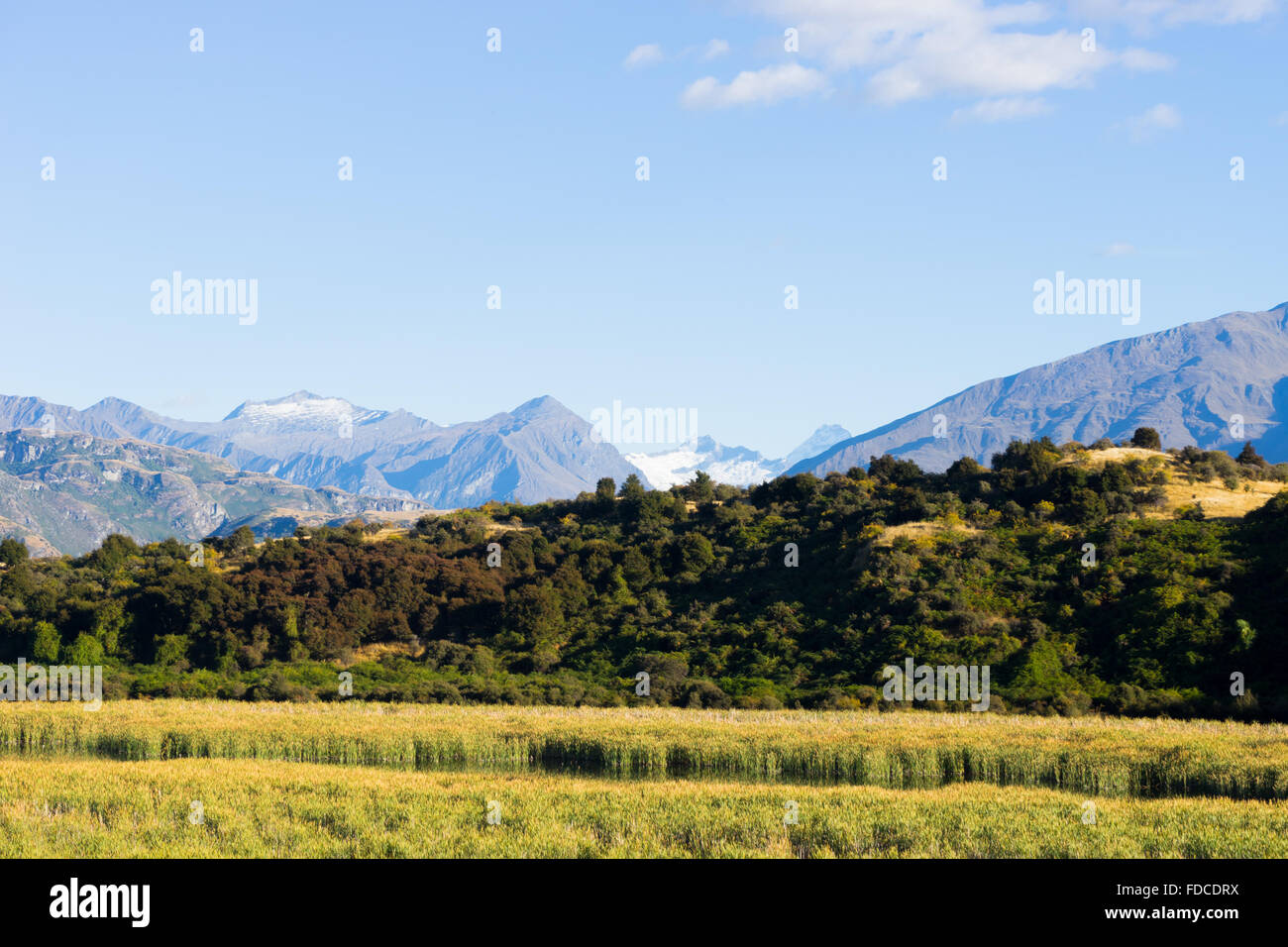 Natural landscape of New Zealand alps and field Stock Photo - Alamy