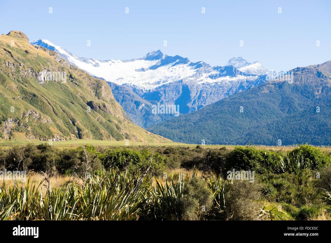 Natural landscape of New Zealand alps and meadows Stock Photo - Alamy
