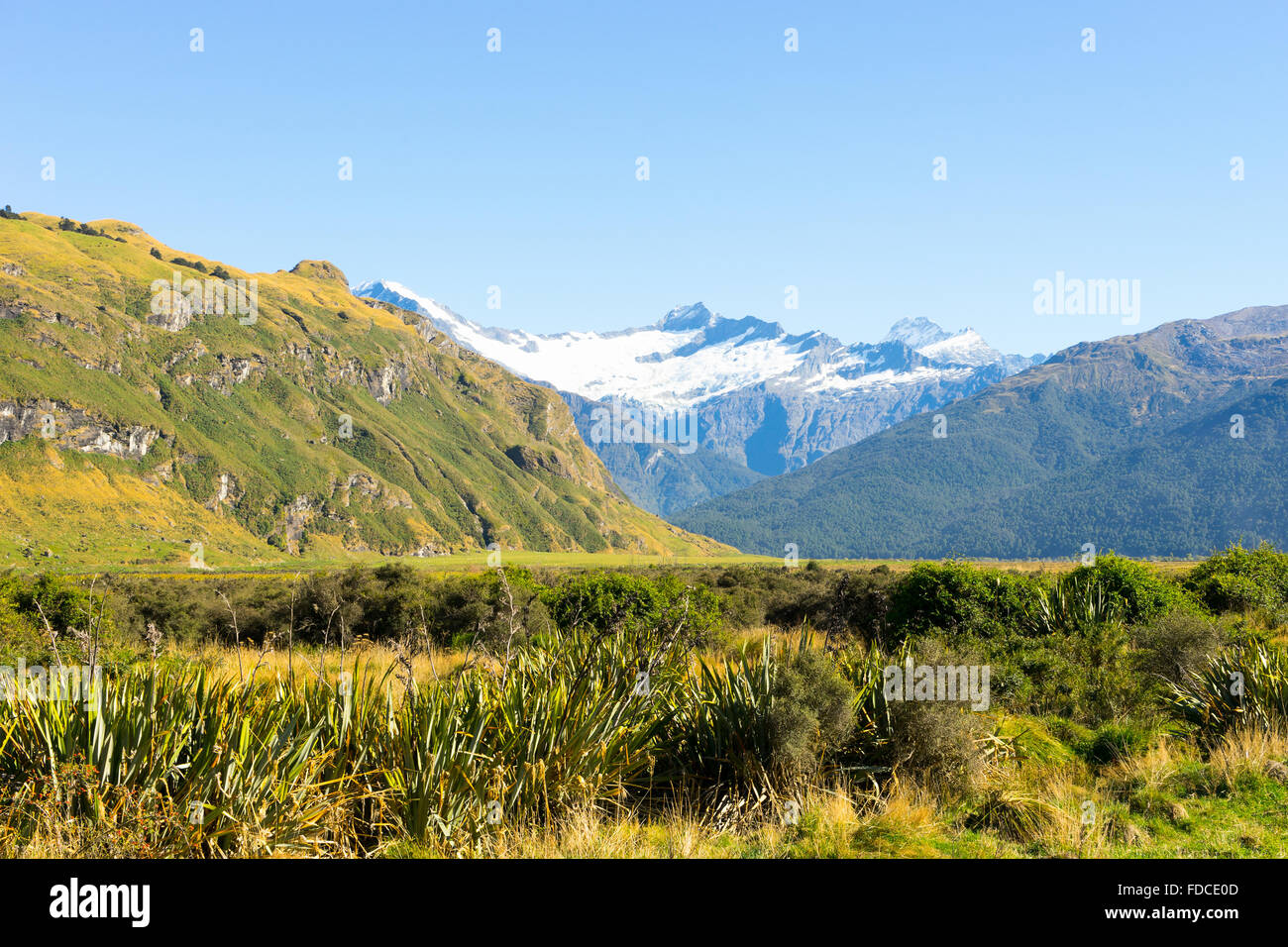 Natural landscape of New Zealand alps and meadows Stock Photo - Alamy