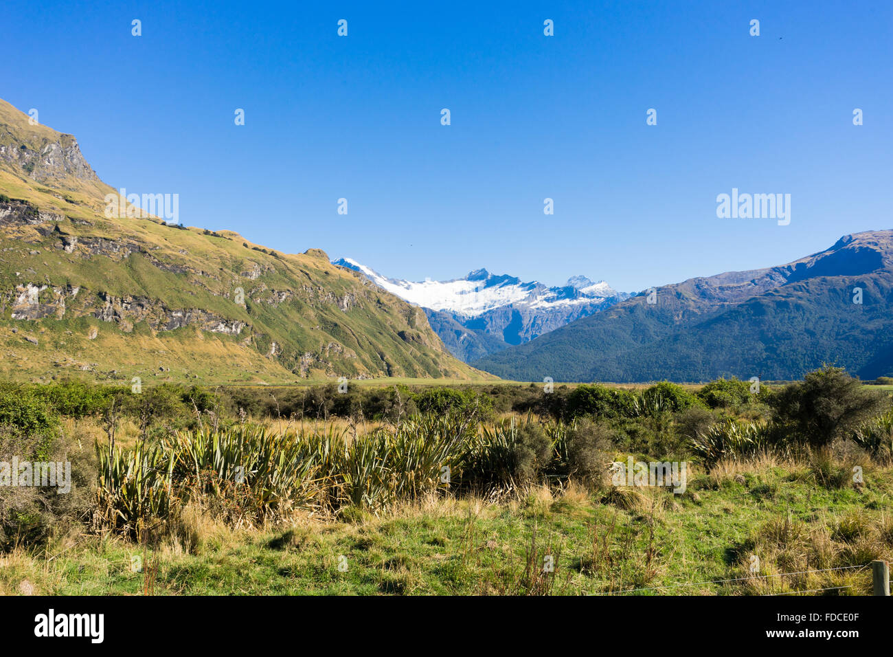 Natural landscape of New Zealand alps and meadows Stock Photo - Alamy