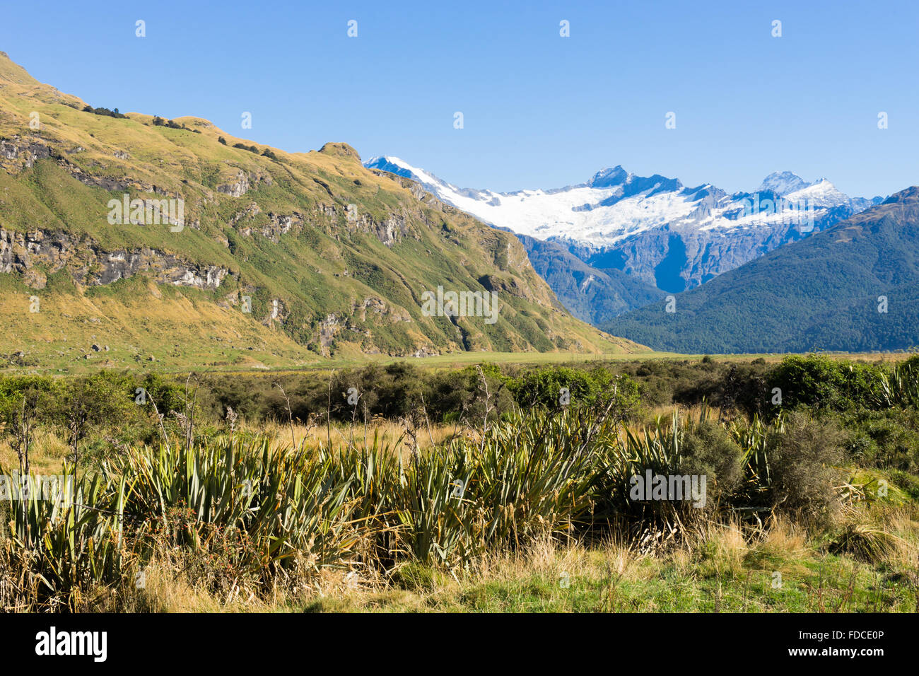 Natural landscape of New Zealand alps and meadows Stock Photo - Alamy