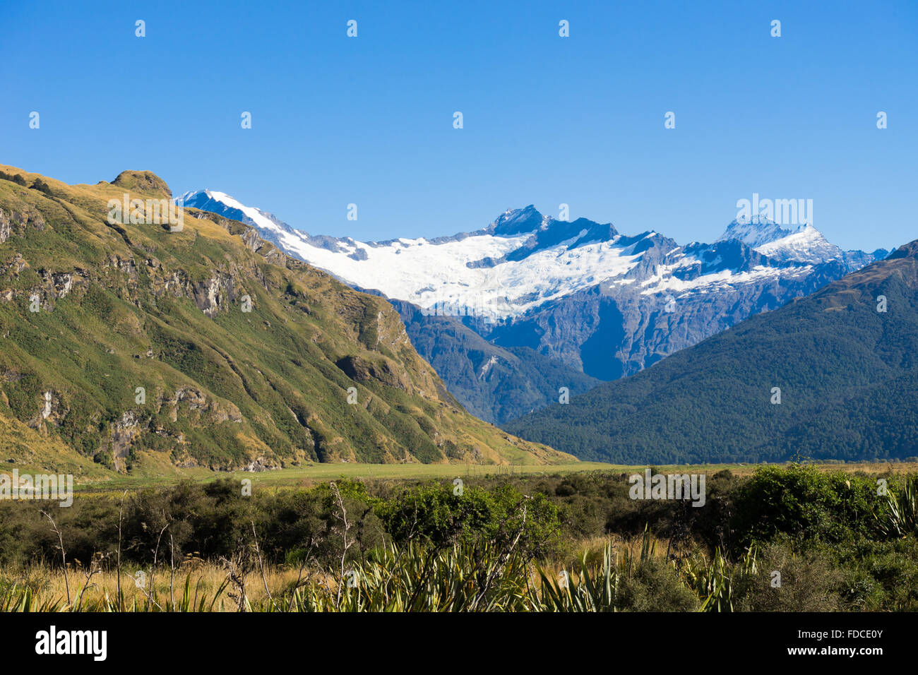 Natural landscape of New Zealand alps and meadows Stock Photo - Alamy