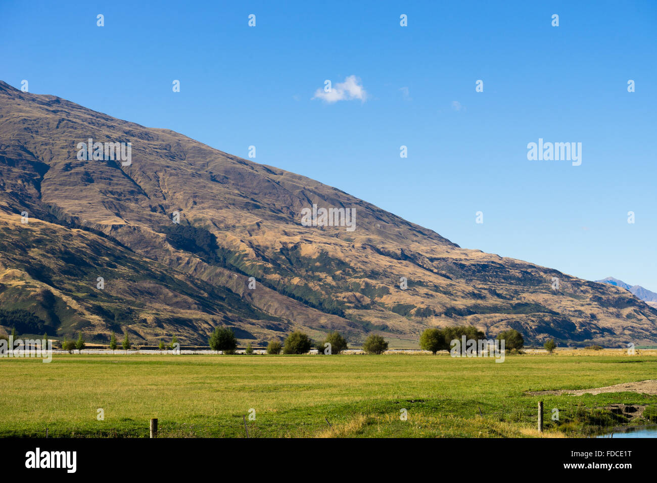 Natural landscape of New Zealand alps and meadows Stock Photo - Alamy