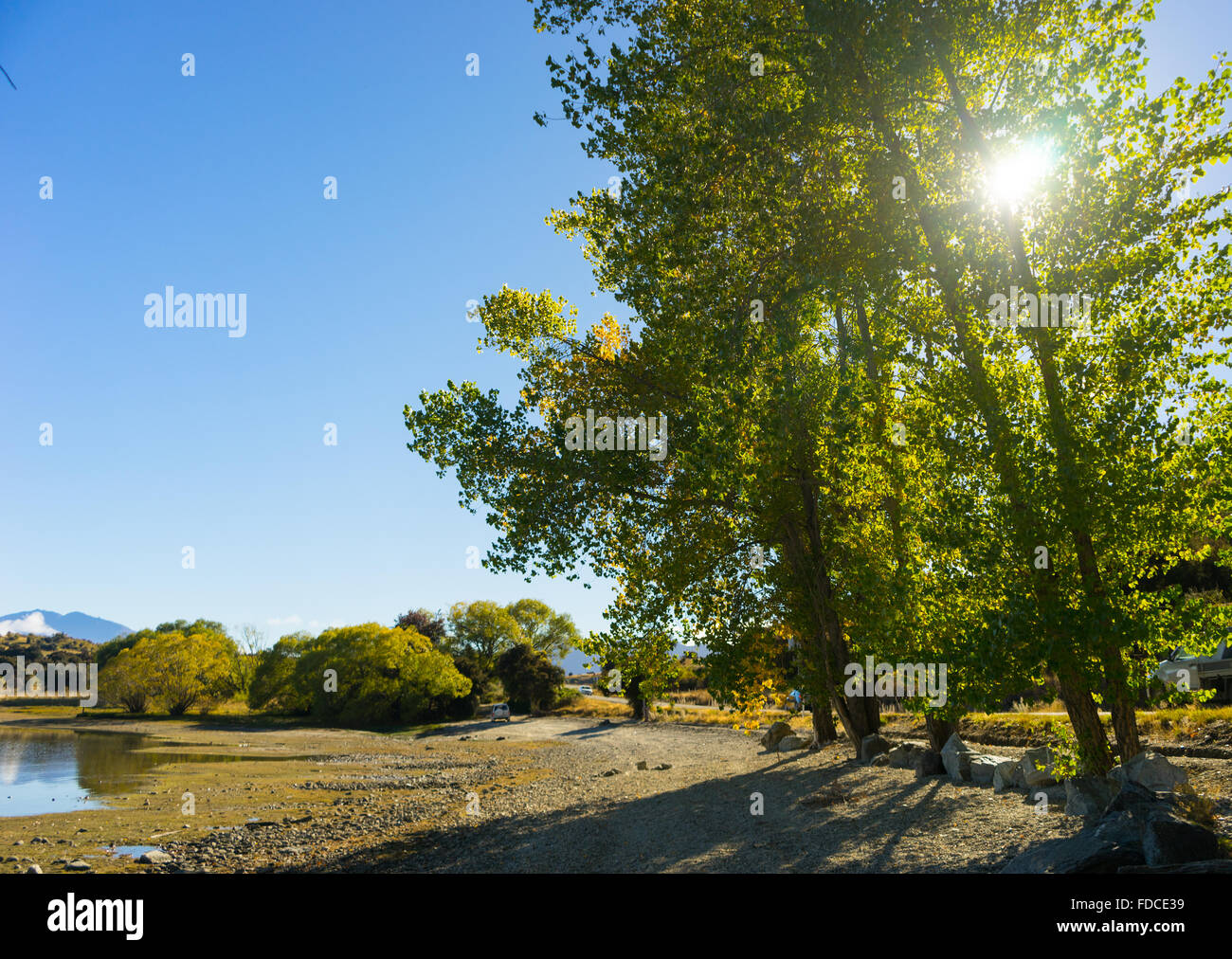 Natural landscape of New Zealand alps and meadows Stock Photo - Alamy