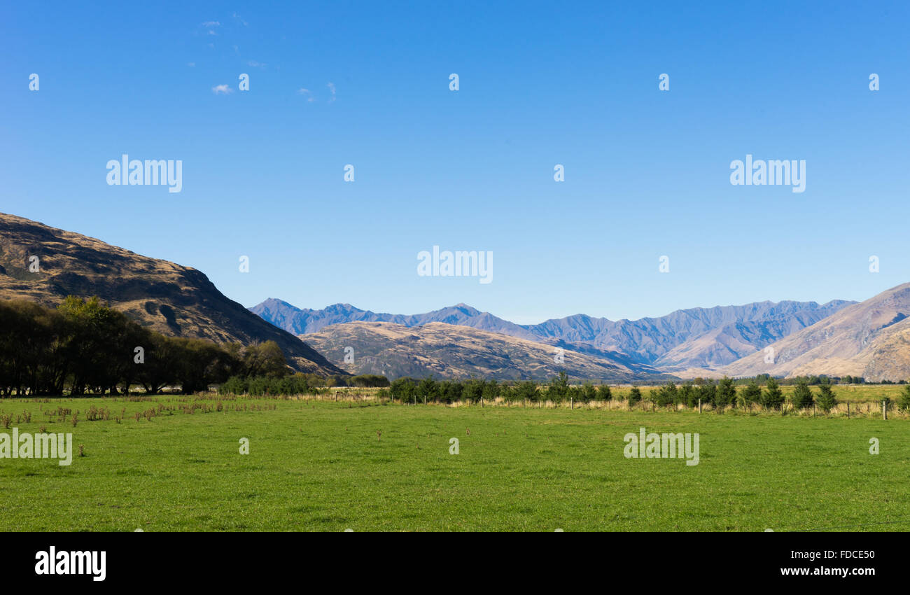 Natural landscape of New Zealand alps and meadows Stock Photo - Alamy
