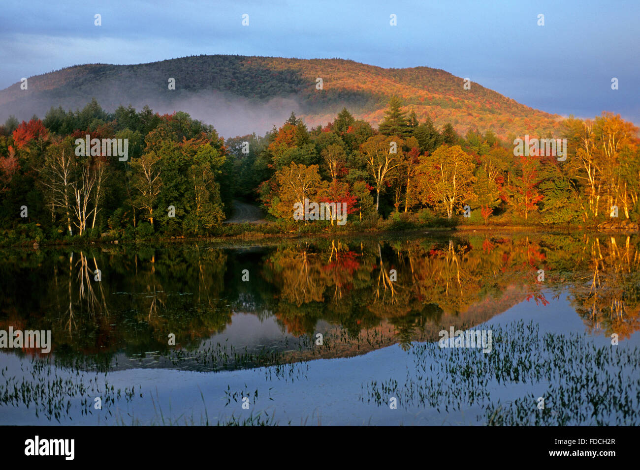 Fall foliage in the Adirondack State Park, New York State, USA Stock ...