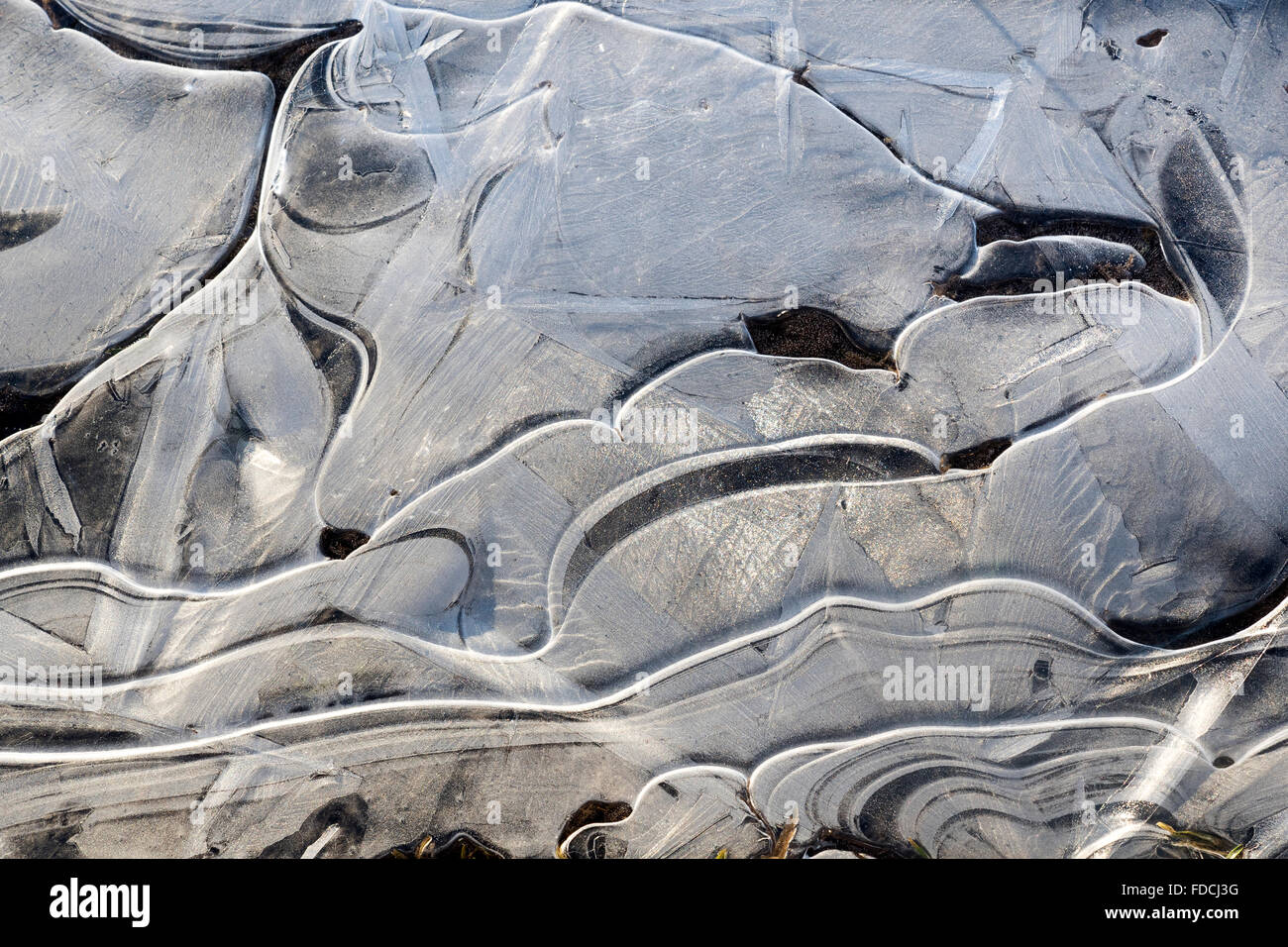 Puddle of ice hi-res stock photography and images - Alamy