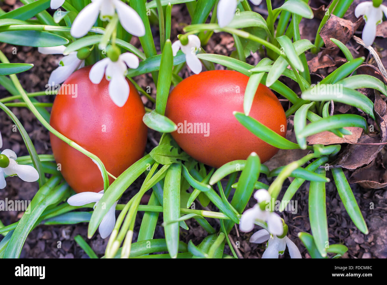 Two colorful easter eggs hi-res stock photography and images - Alamy