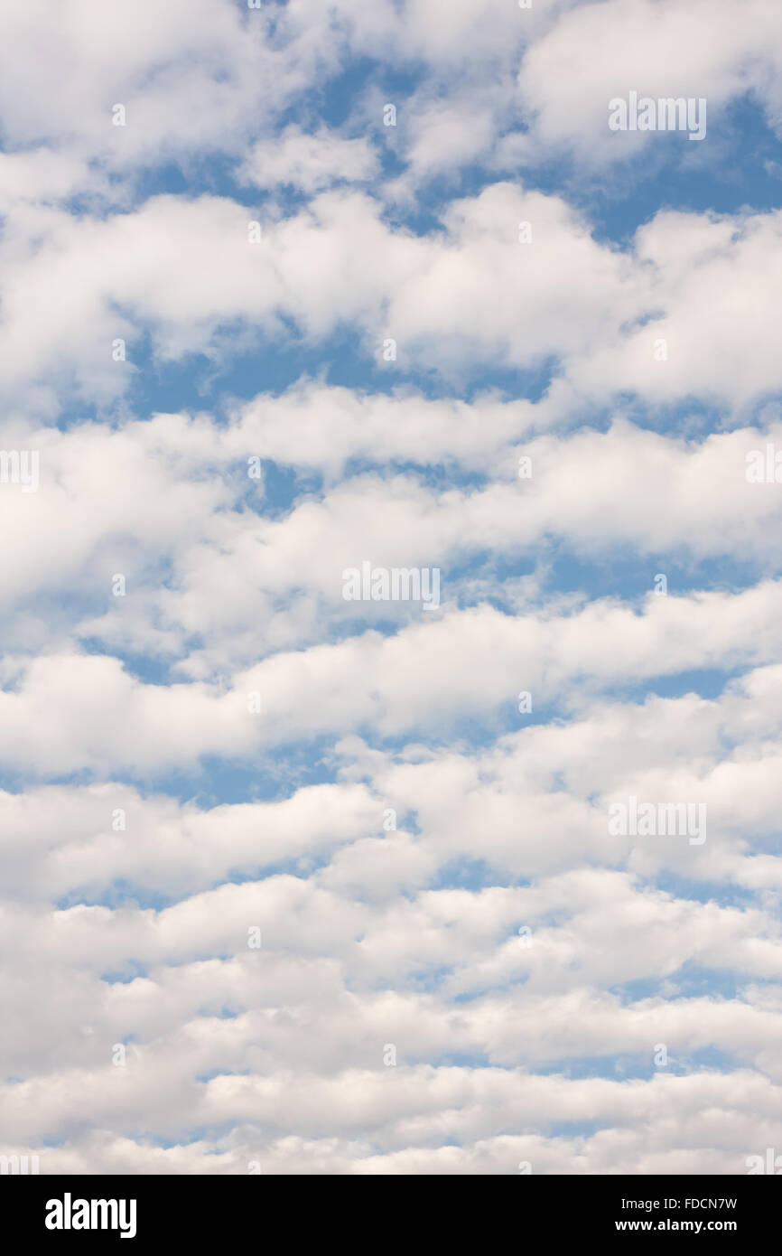 Dense fluffy cirrocumulus clouds formation hi-res stock photography and ...