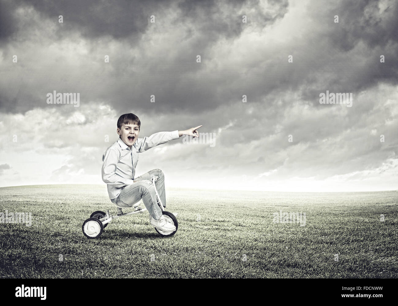 Little joyful cute boy riding tricycle on green grass Stock Photo - Alamy