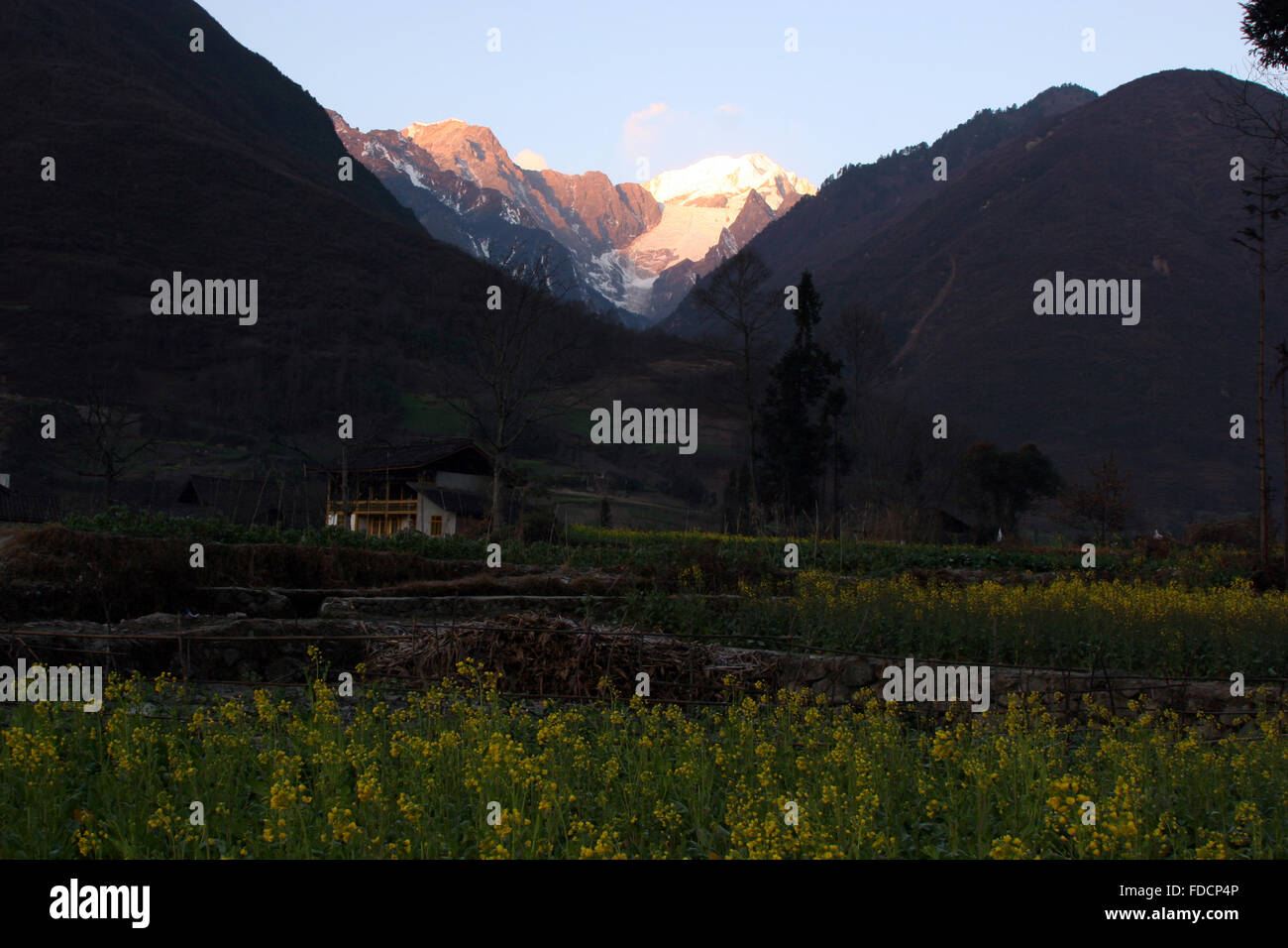 Sichuan Province Ganzi the Gongga mountain Stock Photo - Alamy